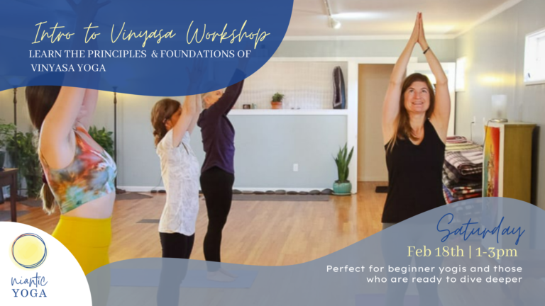 Pool Noodle Yoga with Lisa - Niantic Yoga